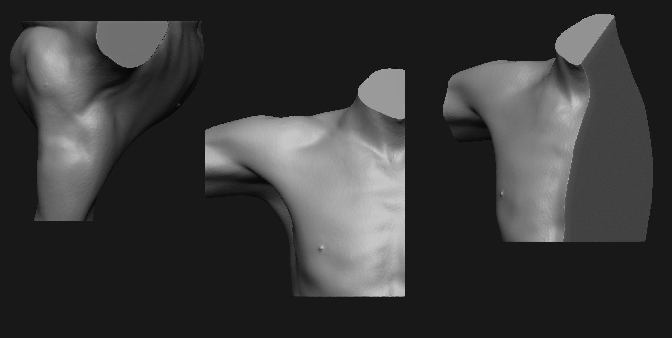Shoulder Anatomy Set 3D model 3D printable | CGTrader