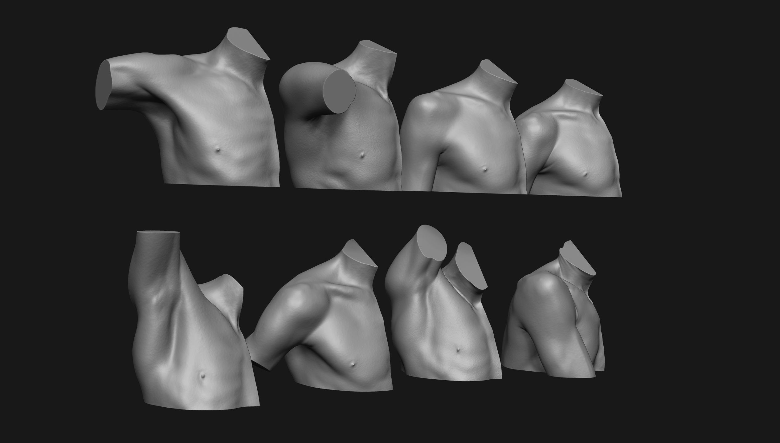 Shoulder Anatomy Set 3D model 3D printable | CGTrader