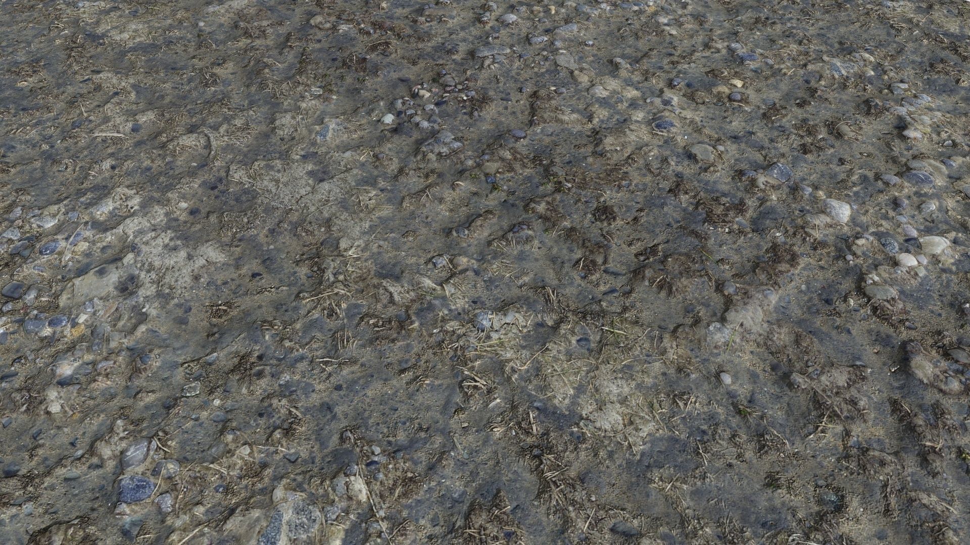 Dirty Terrain PBR Pack 2 Texture | CGTrader