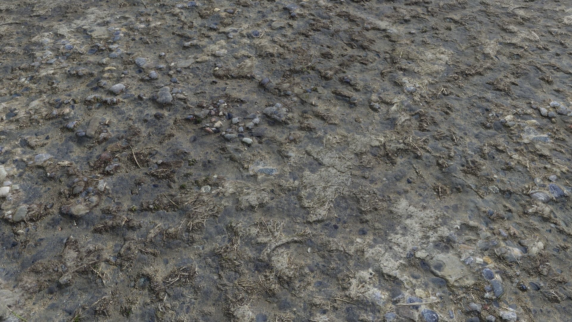 Dirty Terrain PBR Pack 2 Texture | CGTrader