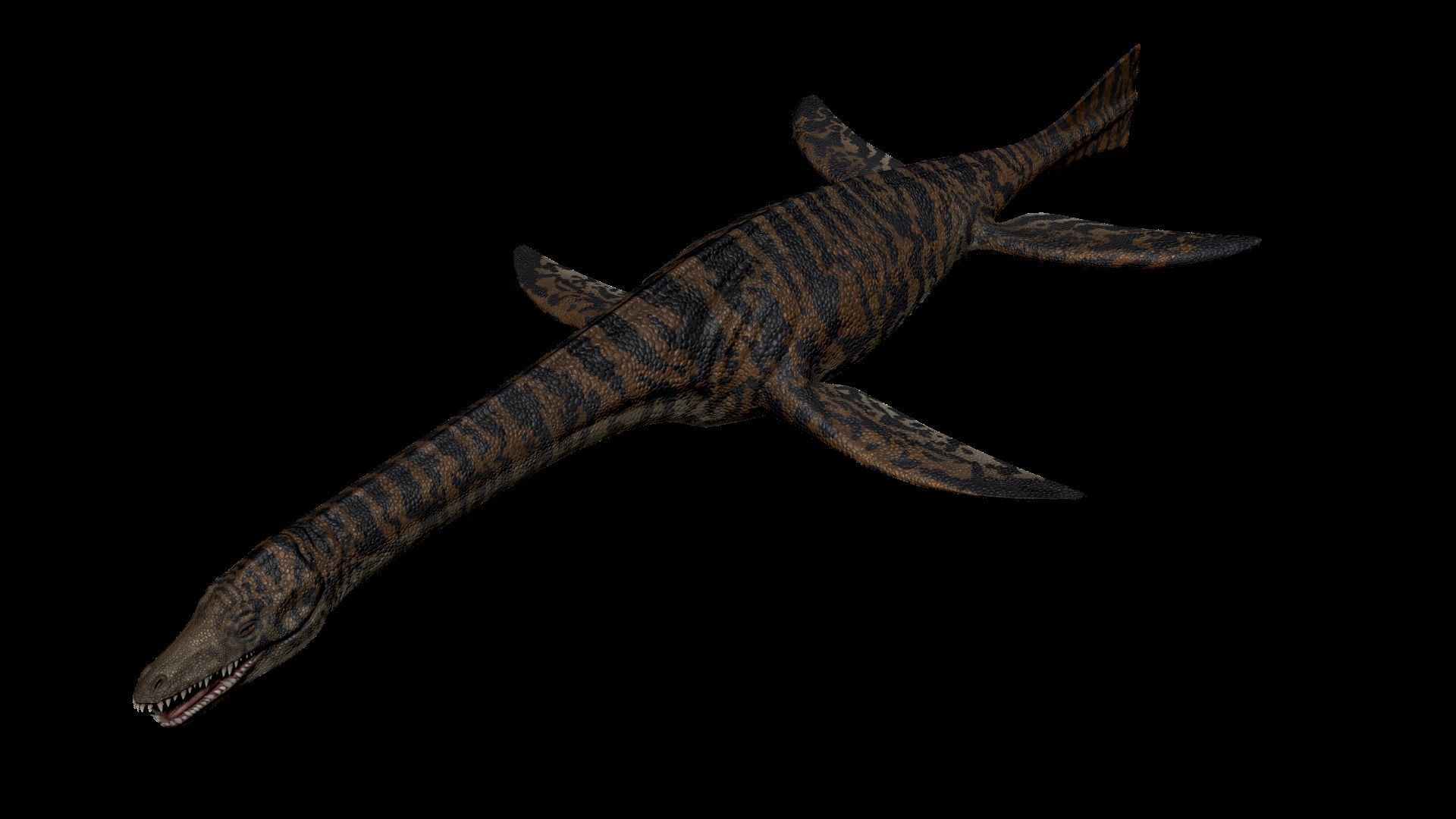 3D model Cryptoclidus Pack VR / AR / low-poly rigged animated | CGTrader