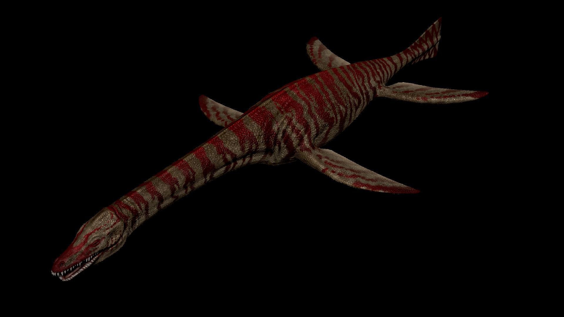 3D model Cryptoclidus Pack VR / AR / low-poly rigged animated | CGTrader