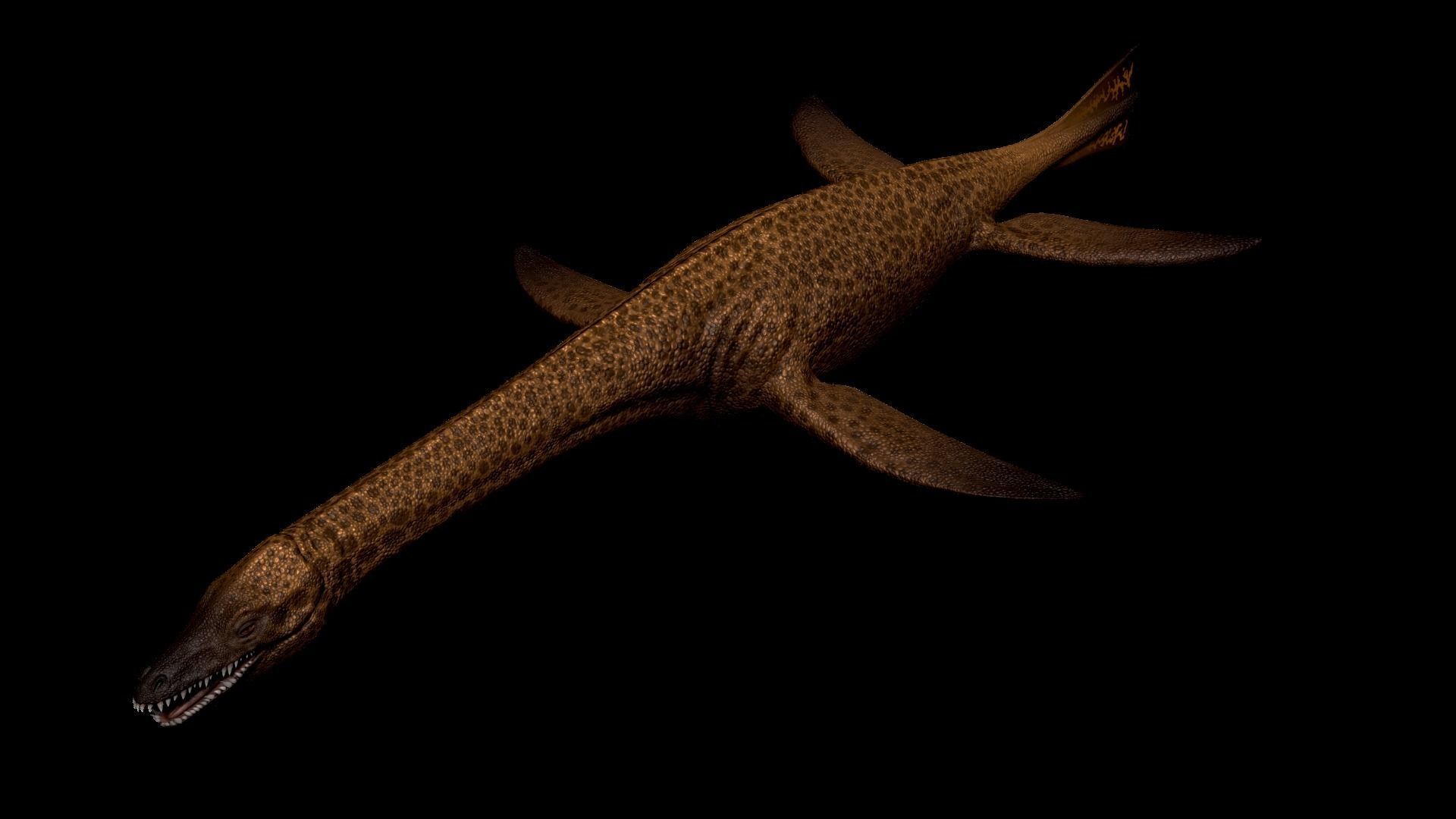 3D model Cryptoclidus Pack VR / AR / low-poly rigged animated | CGTrader