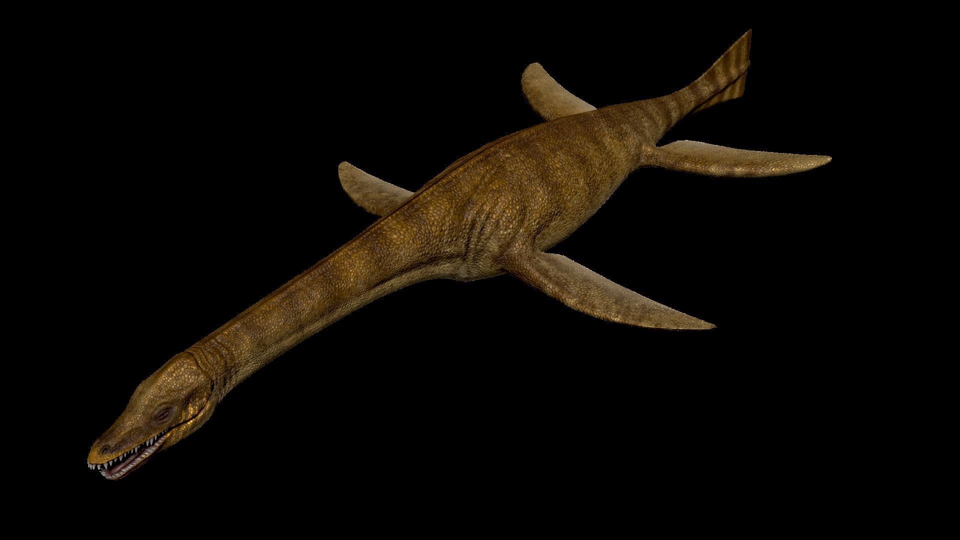 3D model Cryptoclidus Pack VR / AR / low-poly rigged animated | CGTrader