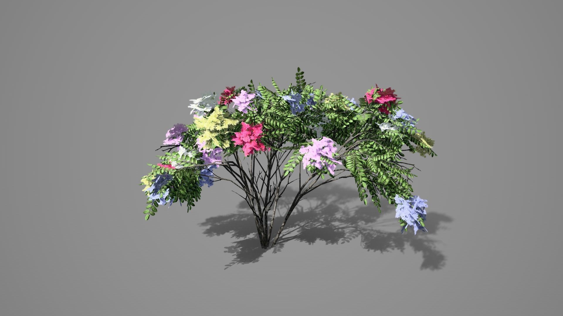 3D model Japanese Angelica Colors Tree VR / AR / low-poly | CGTrader