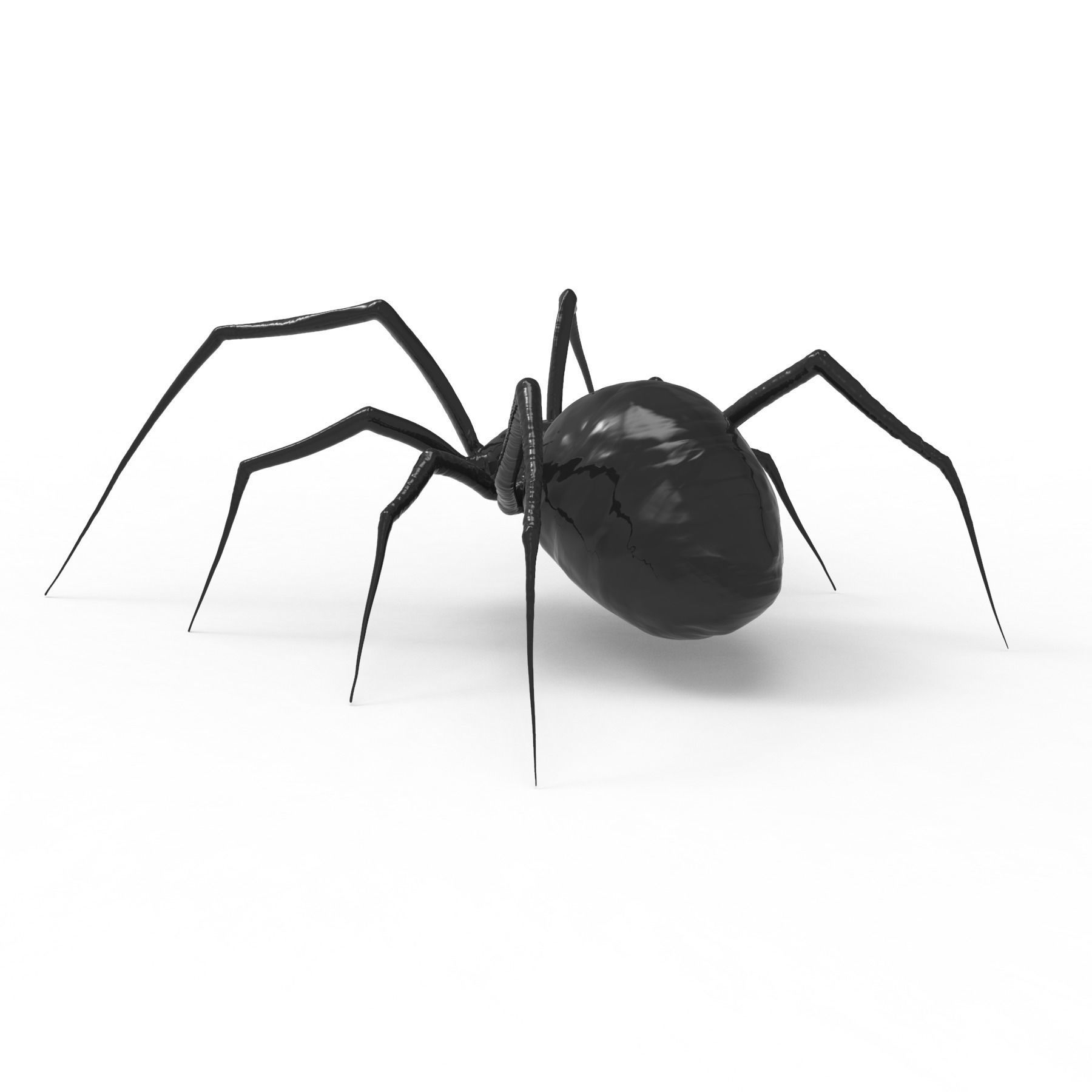 Spider 3D model | CGTrader
