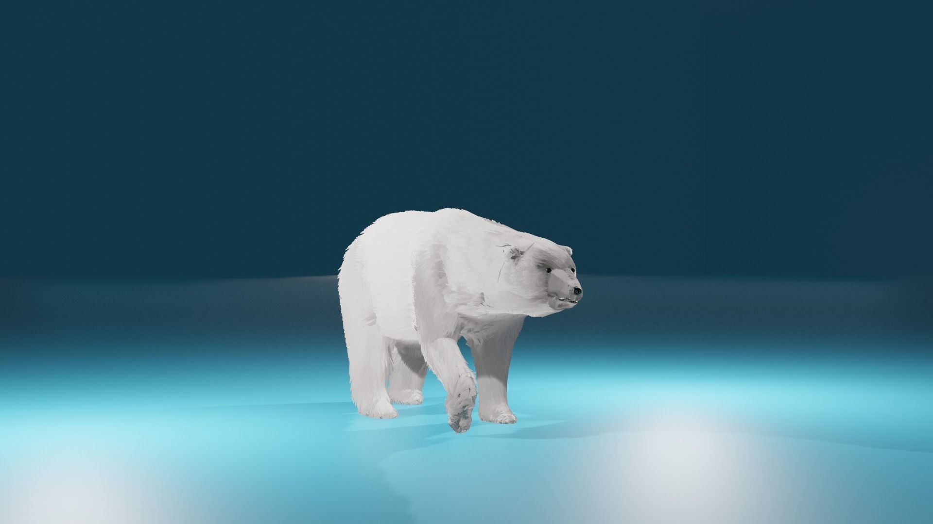 Polar Bear 3D model rigged | CGTrader