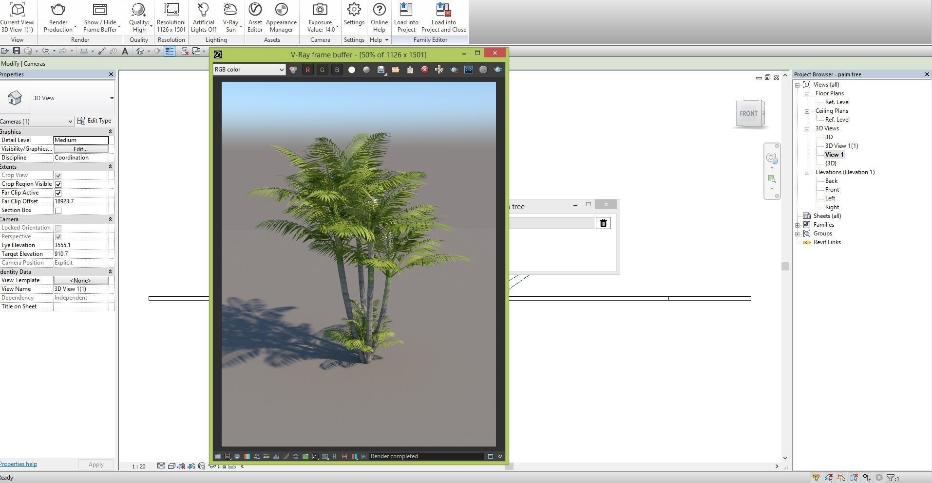 palm tree 3D model | CGTrader