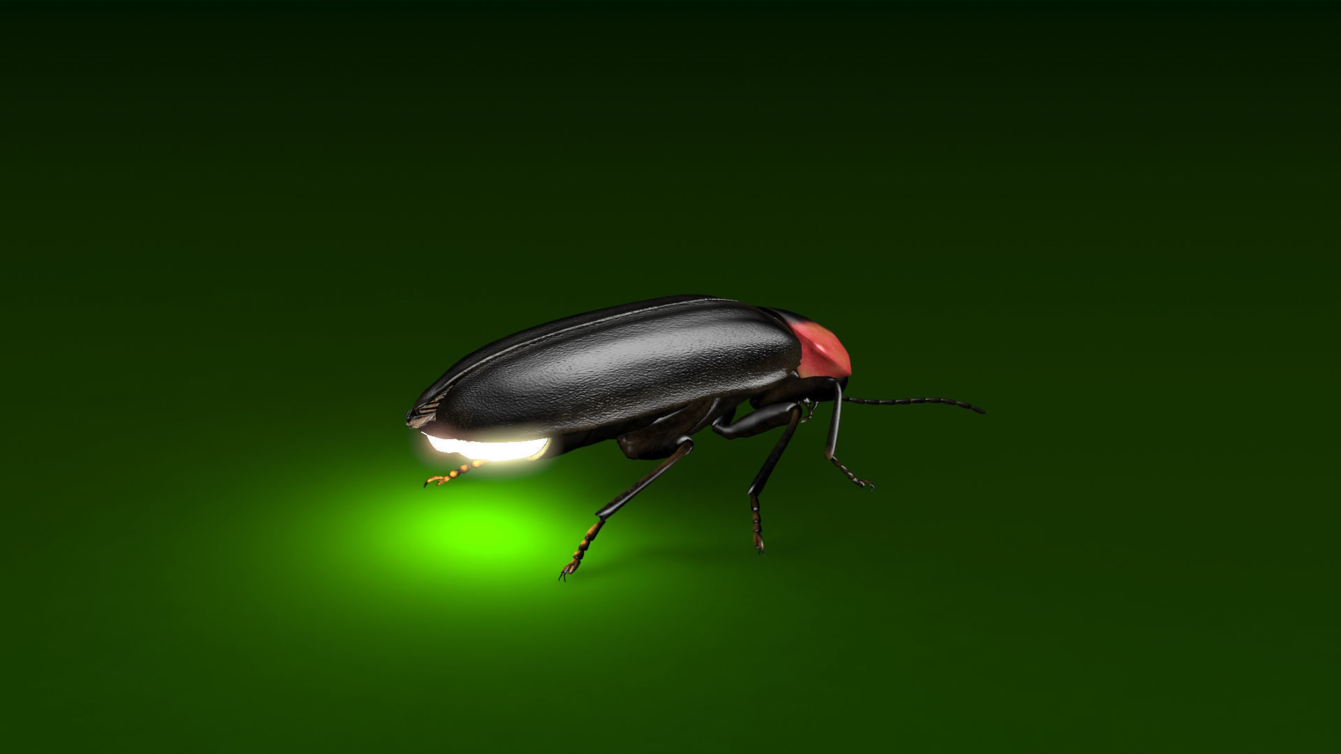3D model Firefly beetle flying VR / AR / low-poly rigged animated ...