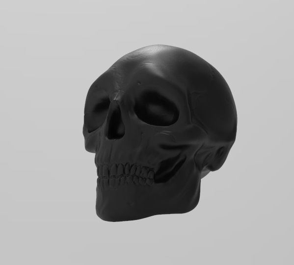 3D model of a skull without holes 3D model 3D printable | CGTrader