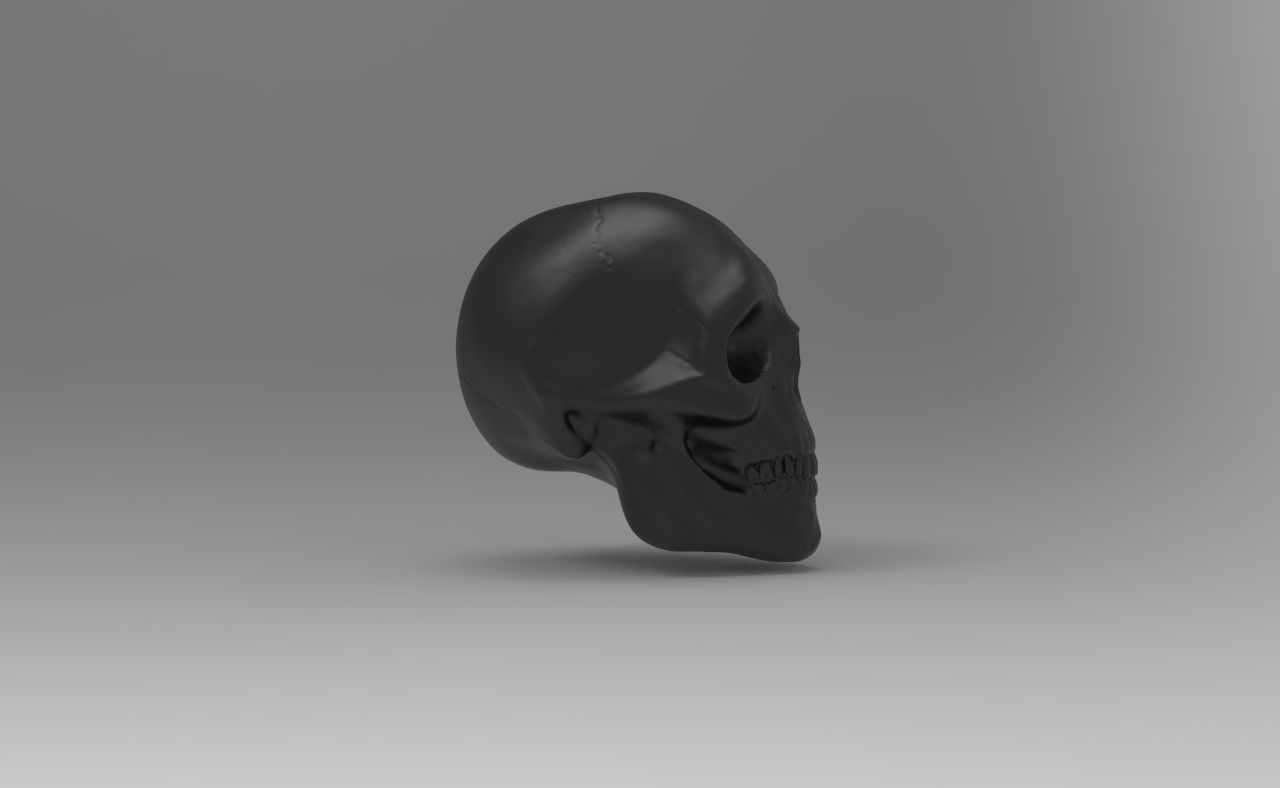 3D model of a skull without holes 3D model 3D printable | CGTrader