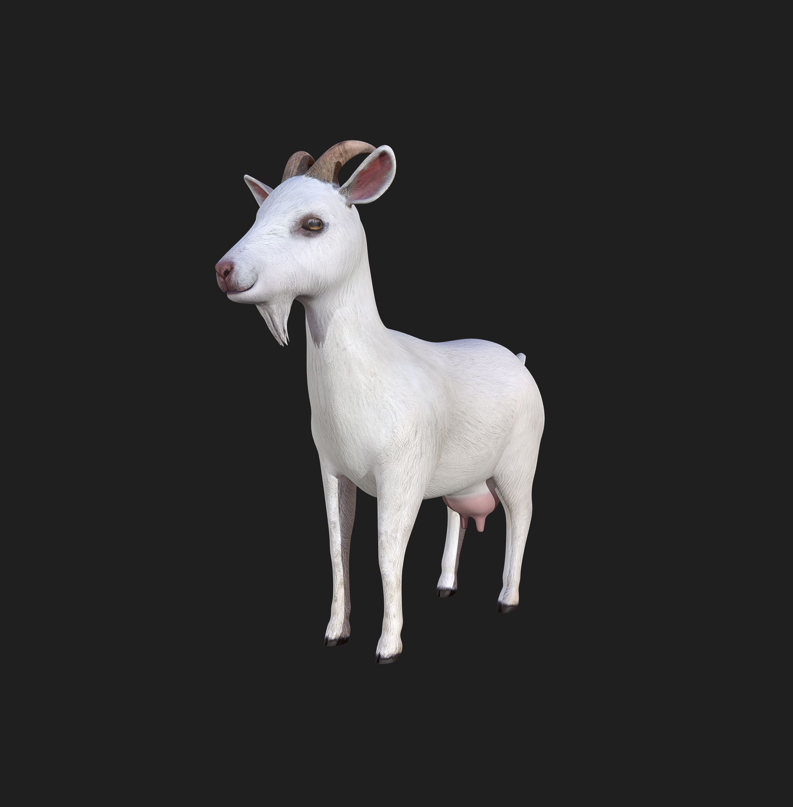 3D model 3D GOAT VR / AR / low-poly | CGTrader