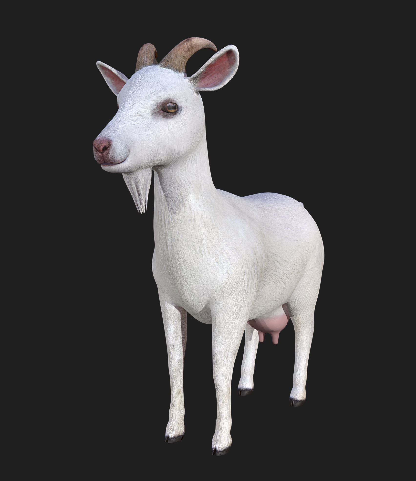 3D model 3D GOAT VR / AR / low-poly | CGTrader