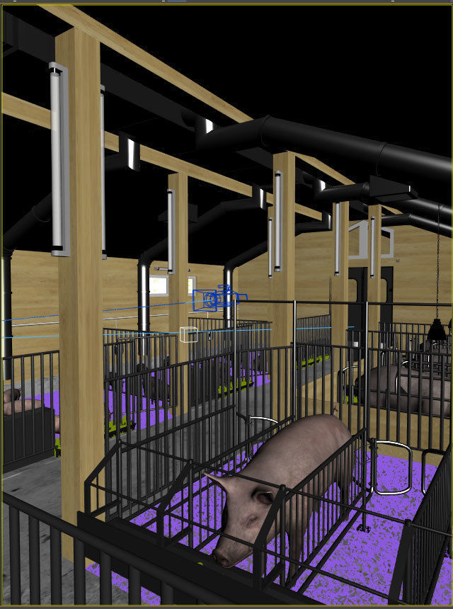 Pig farm 3D model | CGTrader
