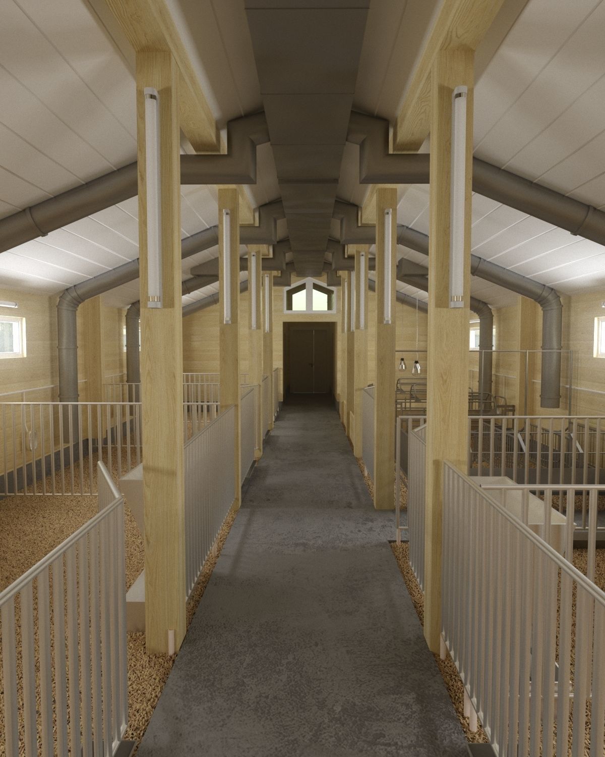Pig farm 3D model | CGTrader