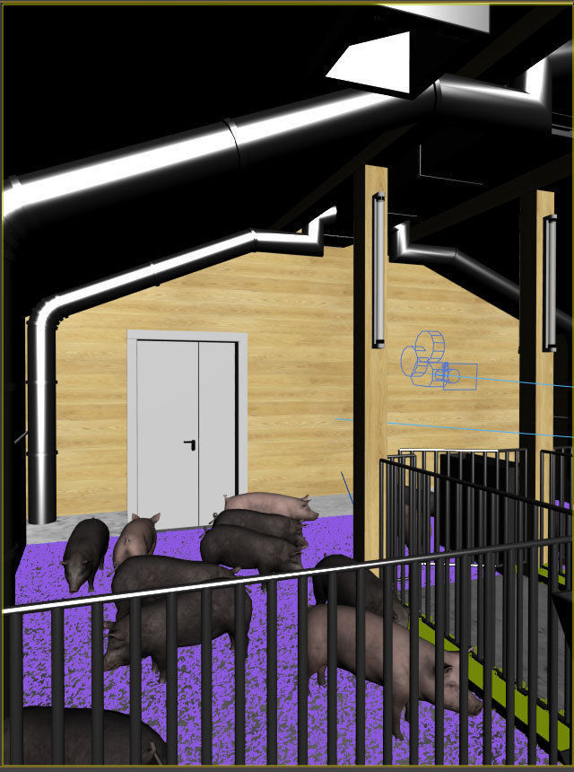 Pig farm 3D model | CGTrader