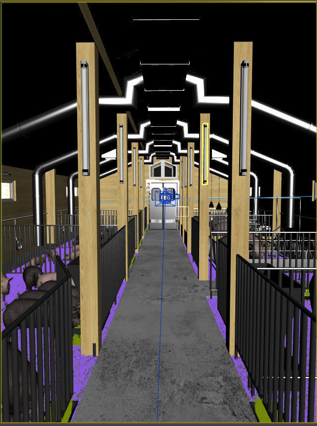 Pig farm 3D model | CGTrader