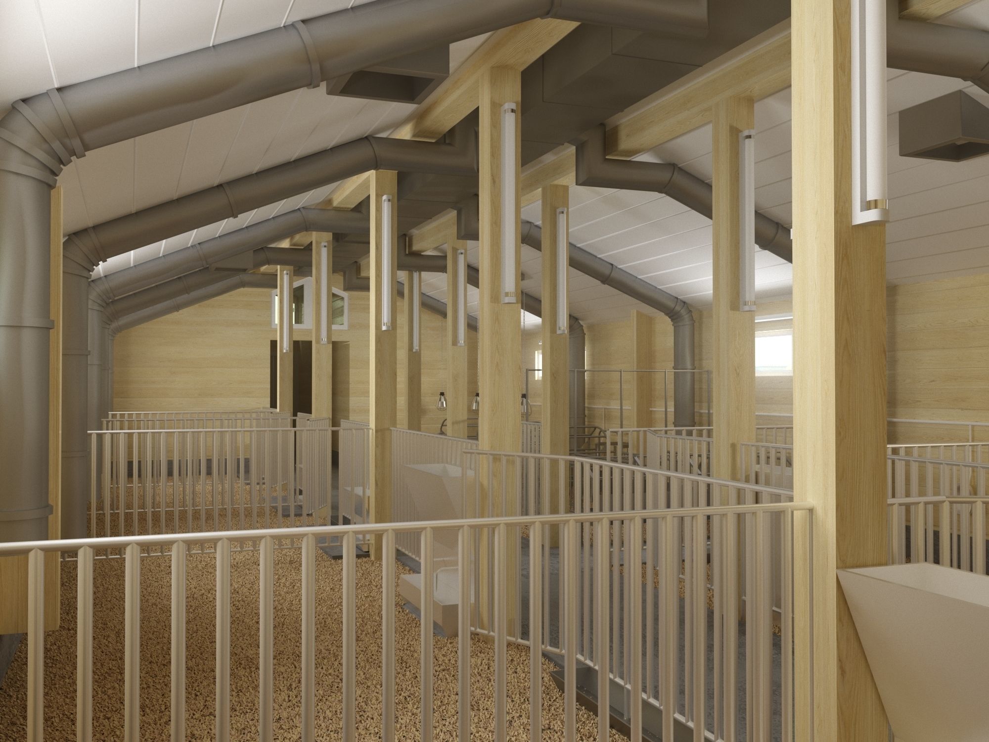 Pig farm 3D model | CGTrader