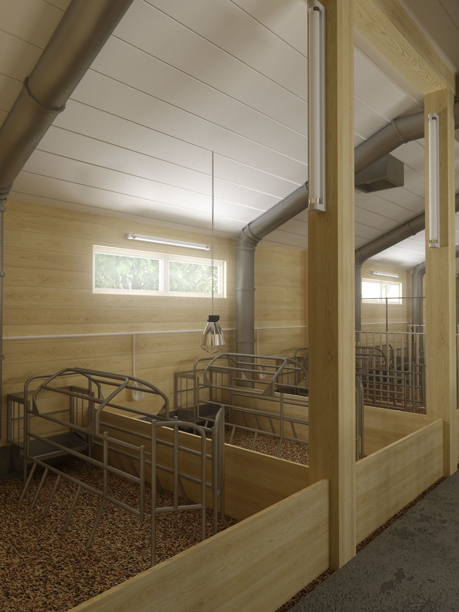 Pig farm 3D model | CGTrader