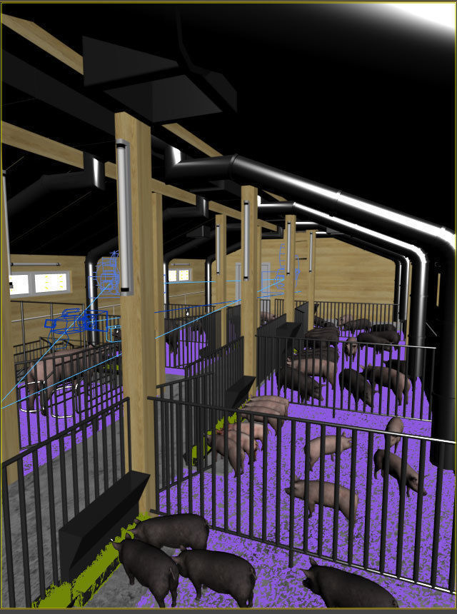 Pig farm 3D model | CGTrader