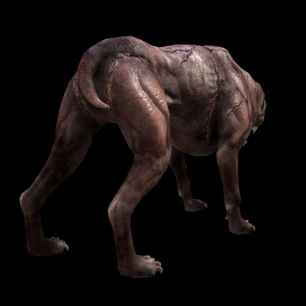 3D model Infernal dog VR / AR / low-poly rigged animated | CGTrader