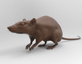 Rat 3D Printing Models | CGTrader