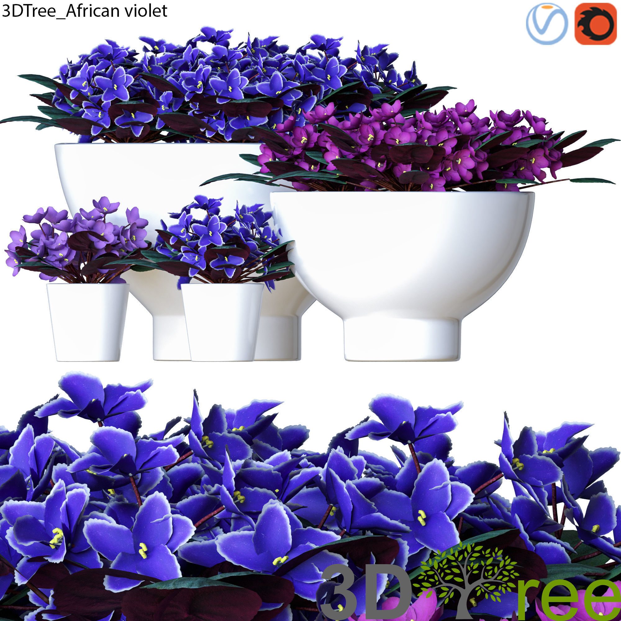 3DTree-African violet 3D model | CGTrader
