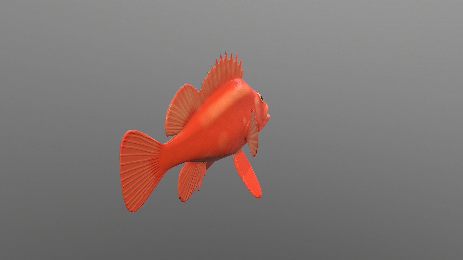 3D model Sebastes aleutianus VR / AR / low-poly | CGTrader