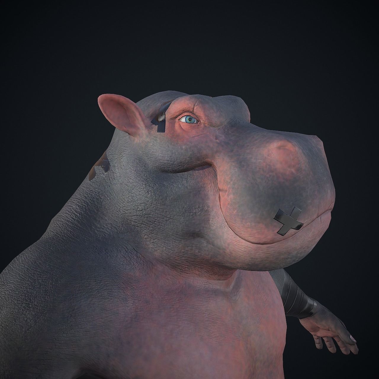 3D model Hippo character VR / AR / low-poly rigged animated | CGTrader