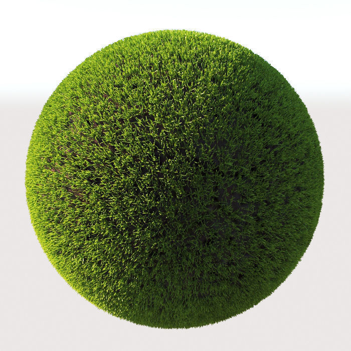 Realistic lawn grass v2 3D model | CGTrader