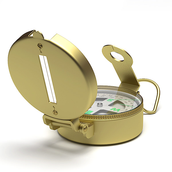 Professional Brass Compass 3d Model Obj 3ds Fbx Blend
