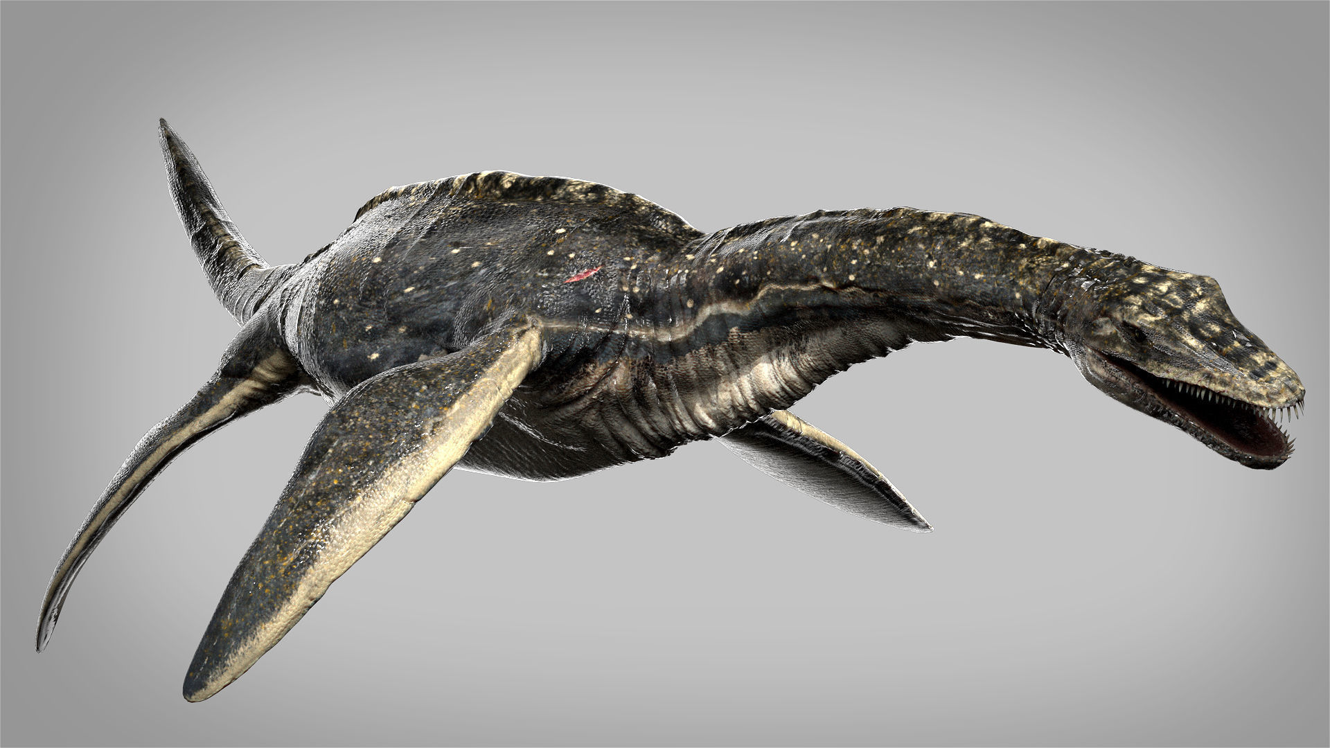 3D model Plesiosaurus 3D Rigged model VR / AR / low-poly | CGTrader