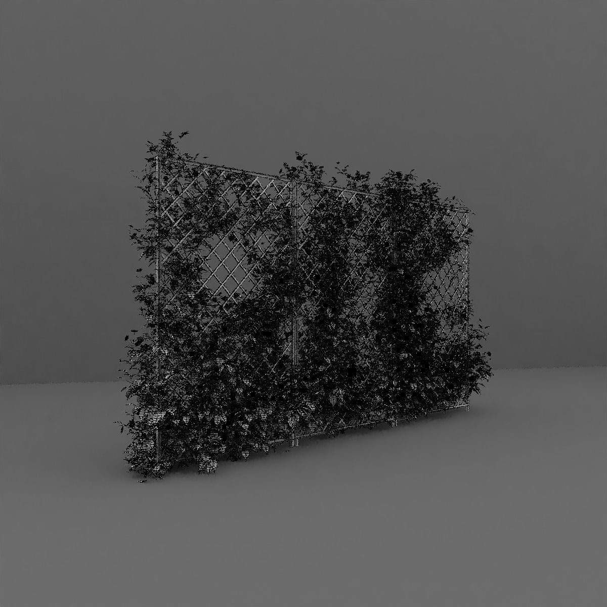 Frame with Ivy 3D model | CGTrader