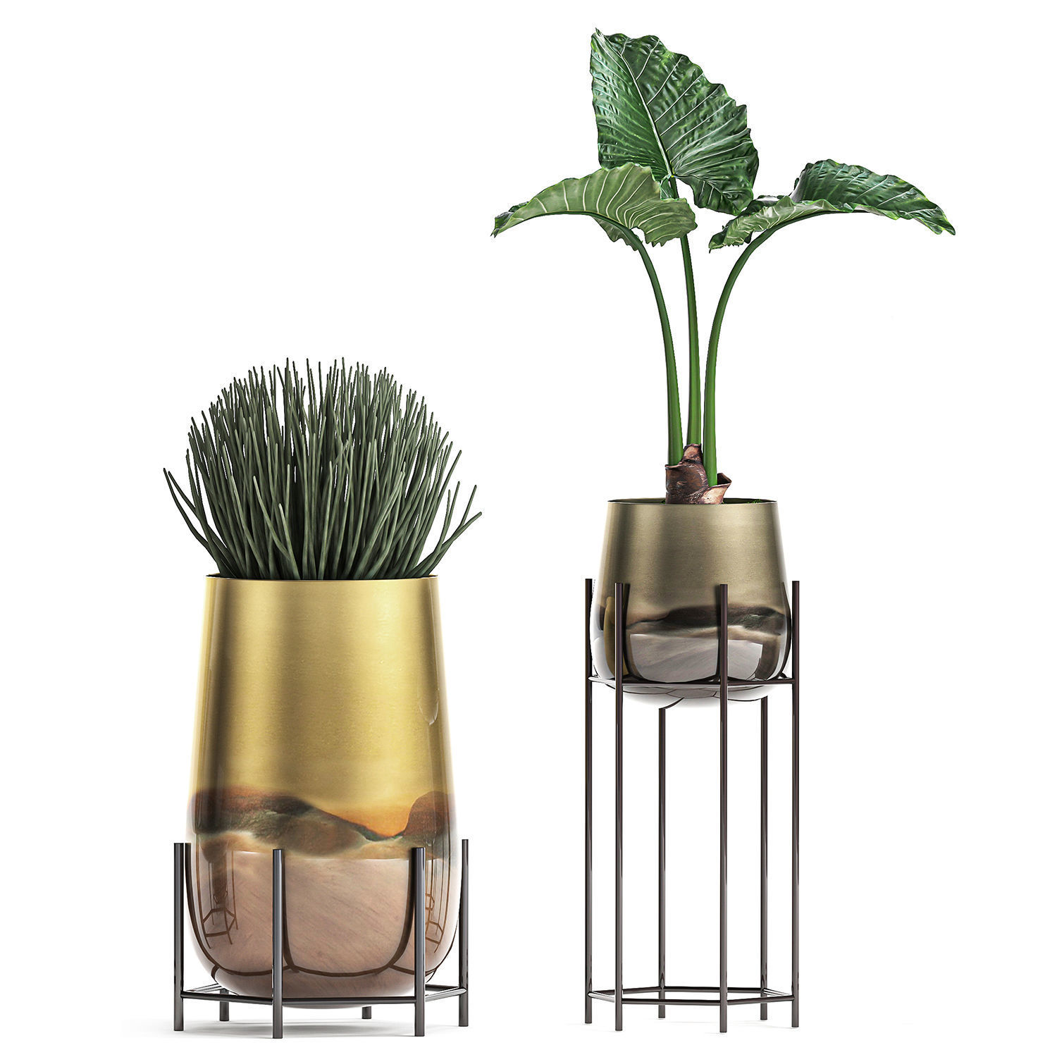 Decorative plants in Luxury Gold Pots for the interior 544 3D model ...