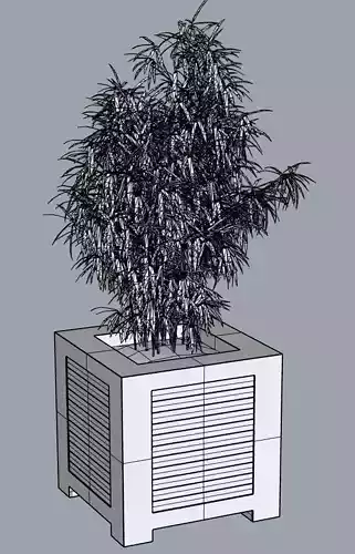 Pot plant free 3D model | CGTrader