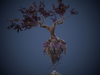 3D model Flying Tree model VR / AR / low-poly | CGTrader