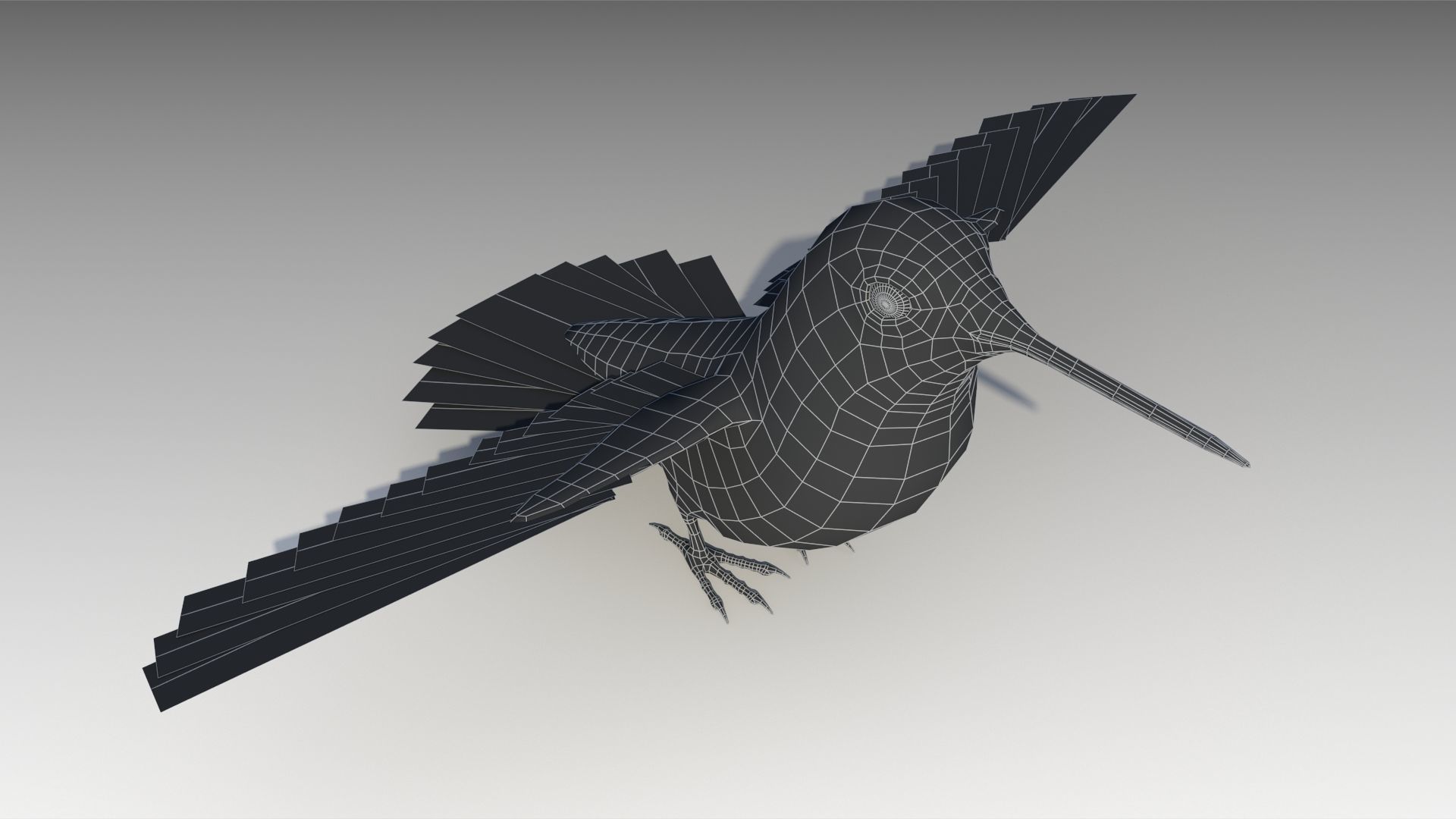 3D model Calliope Hummingbird VR / AR / low-poly rigged animated | CGTrader