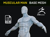 Muscular Man - Base Mesh 3D model | CGTrader