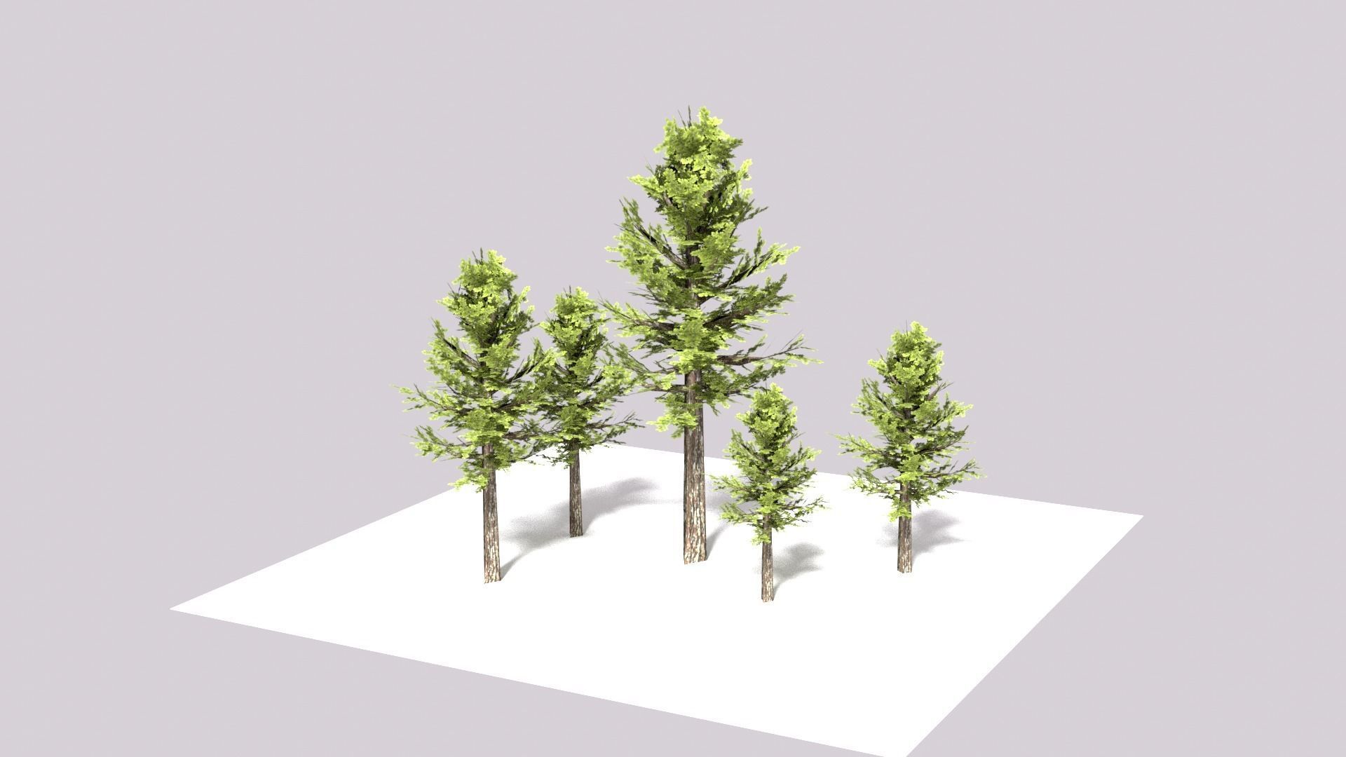 Realistic Tree four pine trees free 3D model | CGTrader