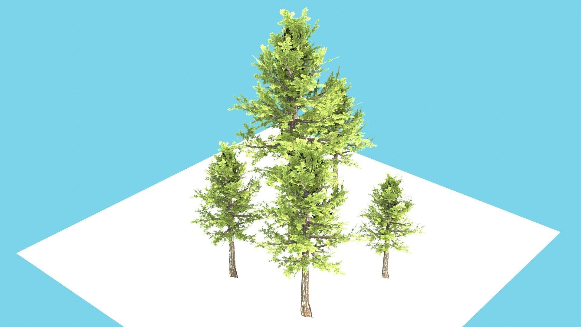 Realistic Tree four pine trees free 3D model | CGTrader