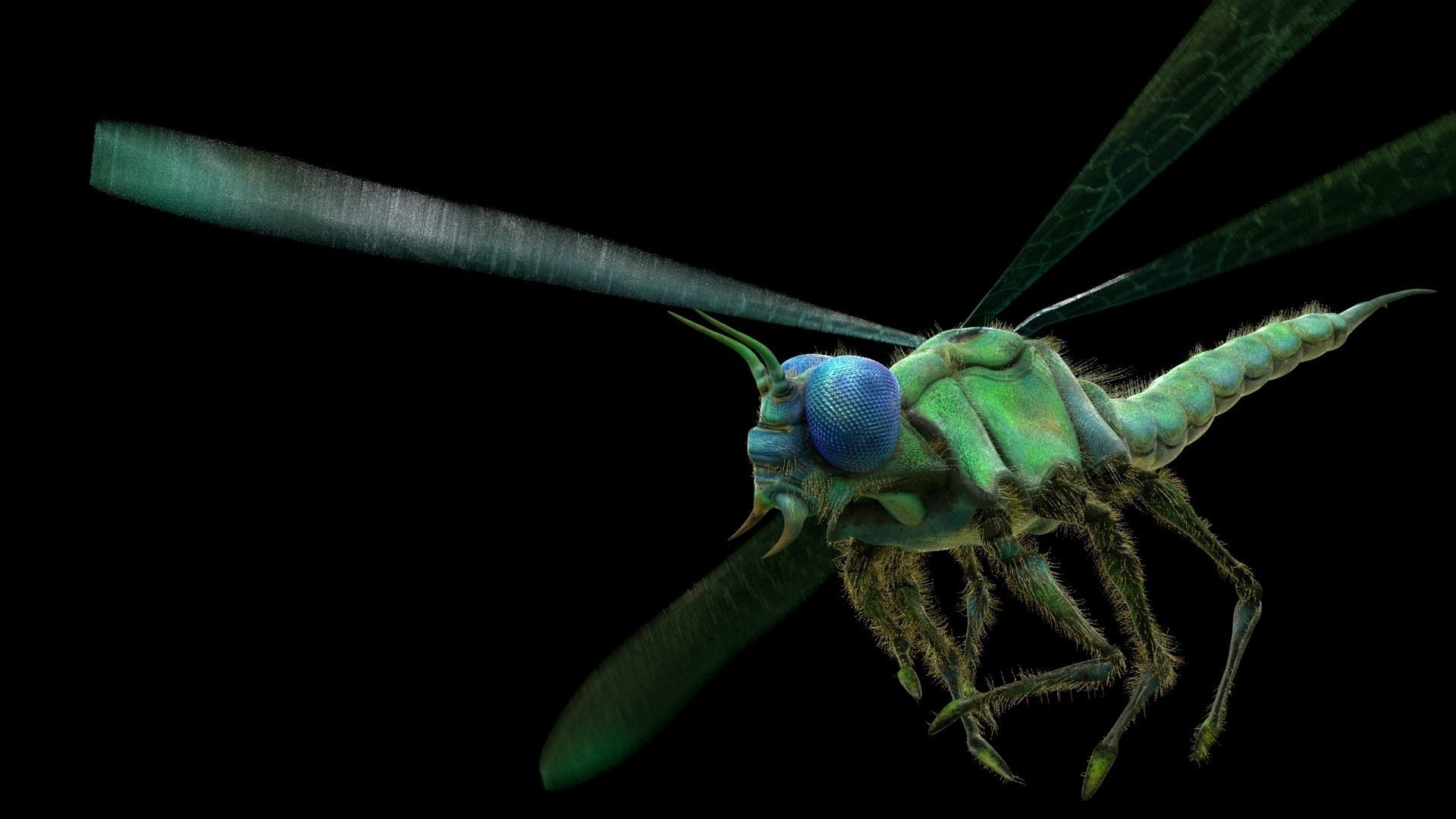 Meganeura Rig 3D model rigged | CGTrader