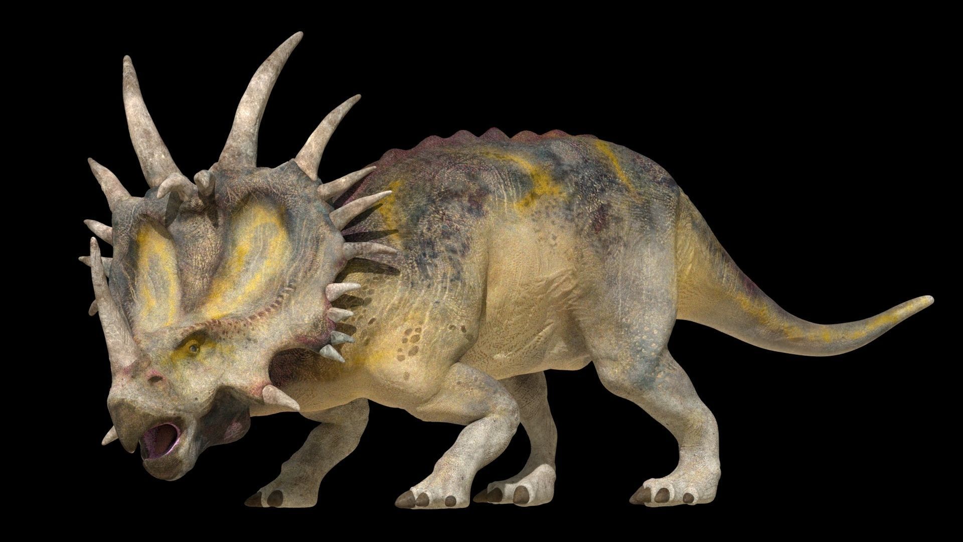Dinosaur Styracosaurus Rig 3D model rigged | CGTrader