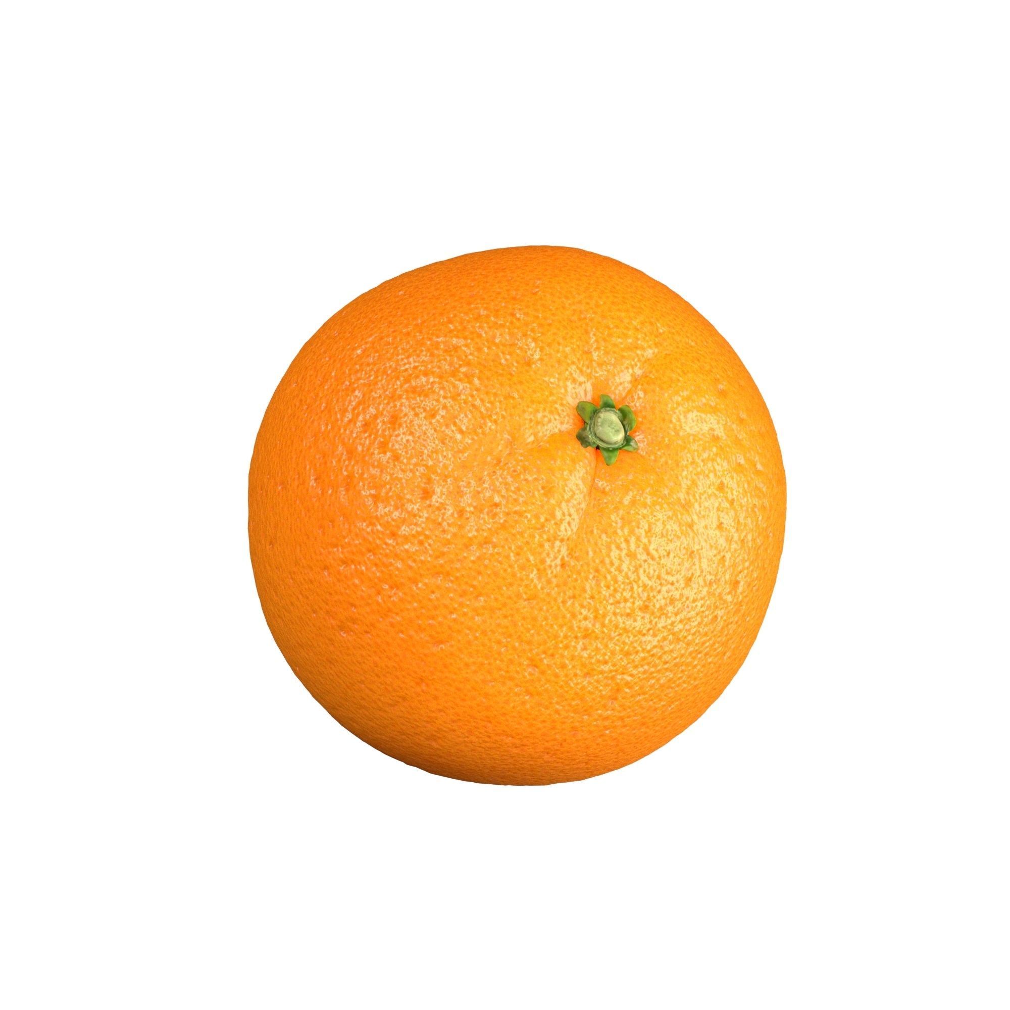 Orange 3D model | CGTrader