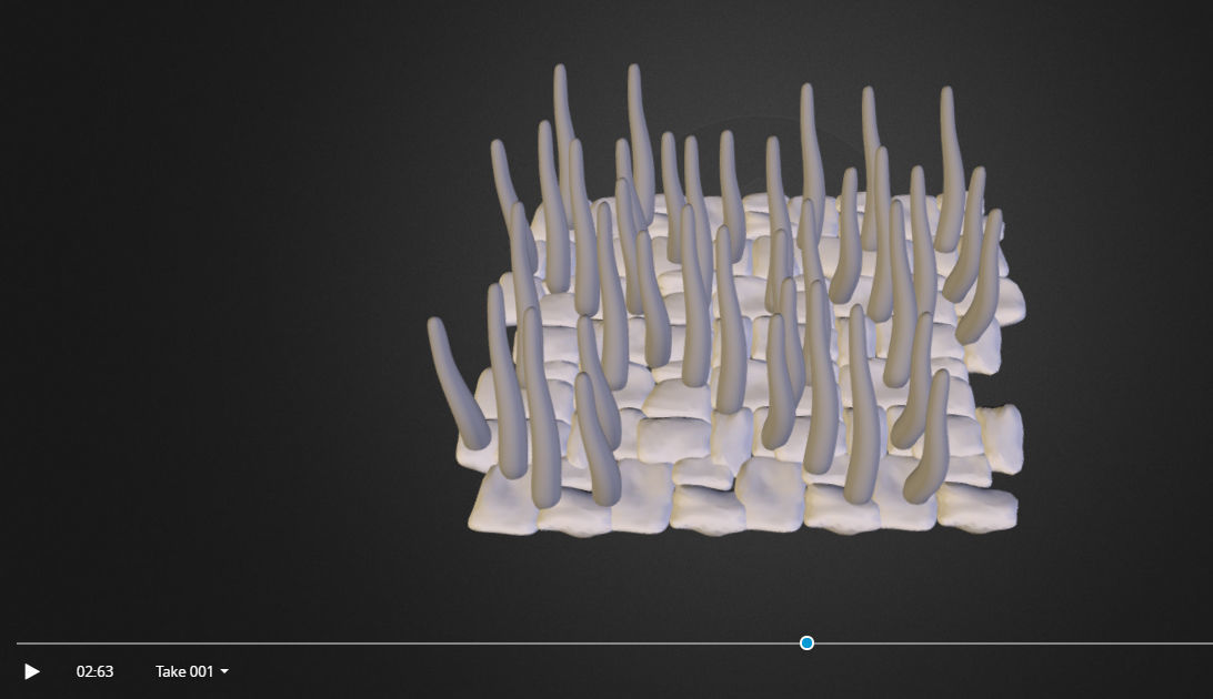 3D model Ciliated Epithelium VR / AR / low-poly animated | CGTrader