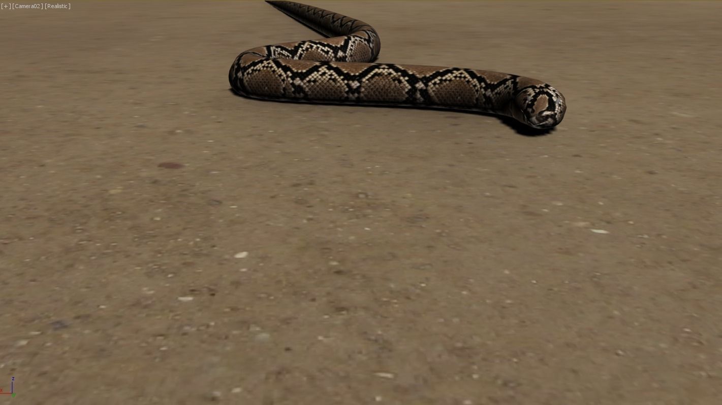 Snake free 3D model animated | CGTrader