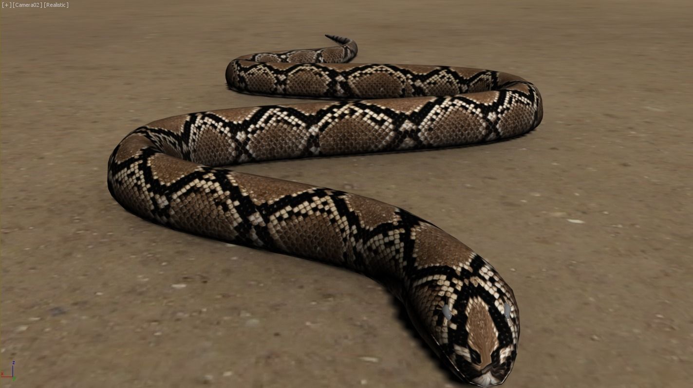 Snake free 3D model animated | CGTrader