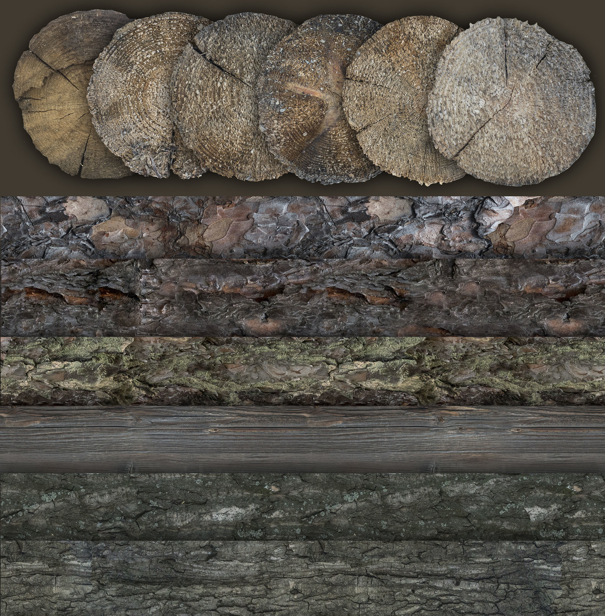 Wooden texture Bark Stump free Texture | CGTrader