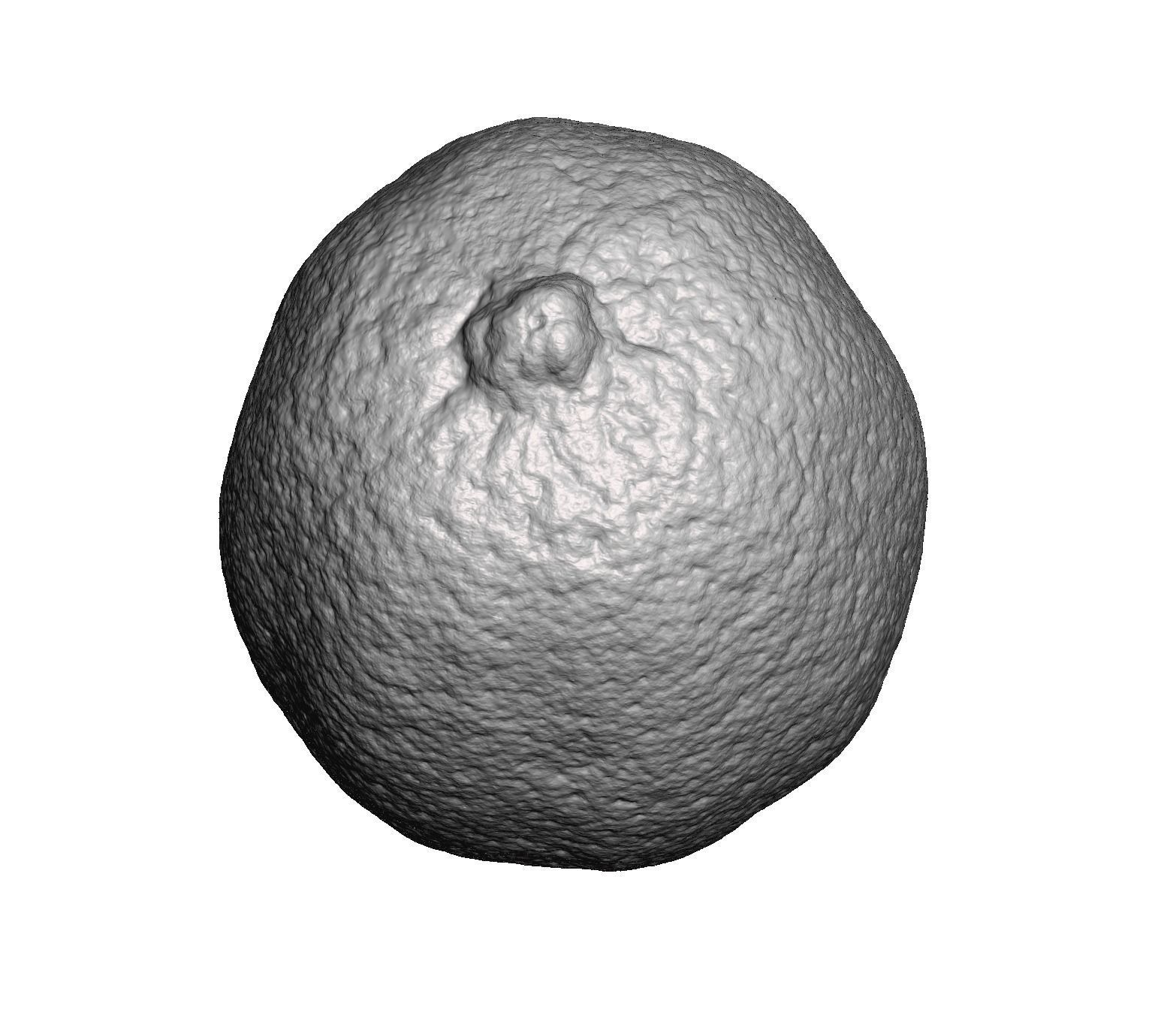 Natural lemmon 3D model 3D printable | CGTrader