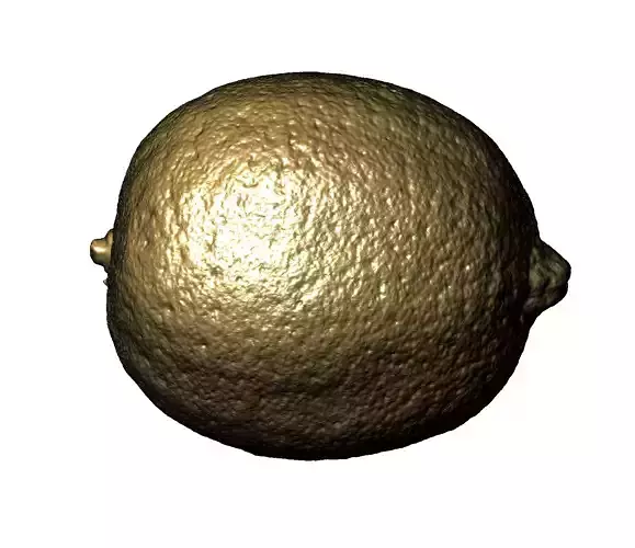 Natural lemmon 3D model 3D printable | CGTrader