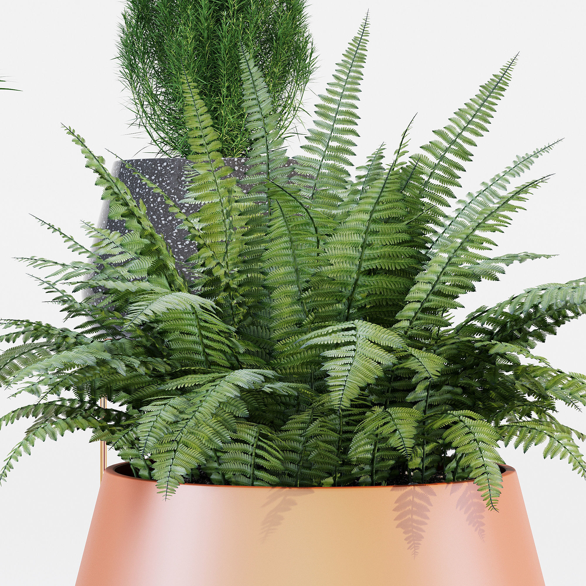 Vasap one 3D model | CGTrader